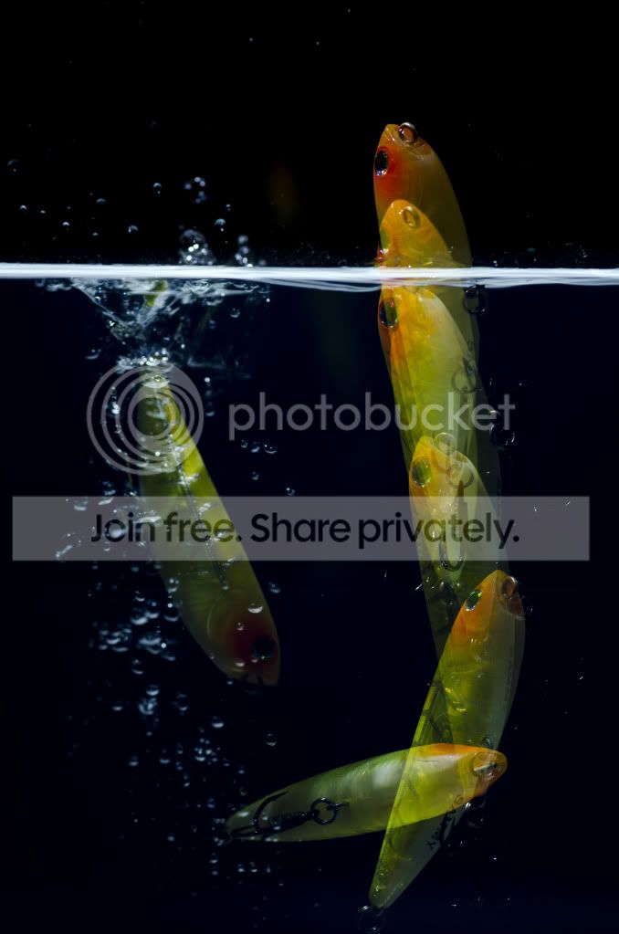 Re-entry | 360 Tuna Fishers Forum