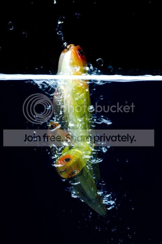 Re-entry | 360 Tuna Fishers Forum