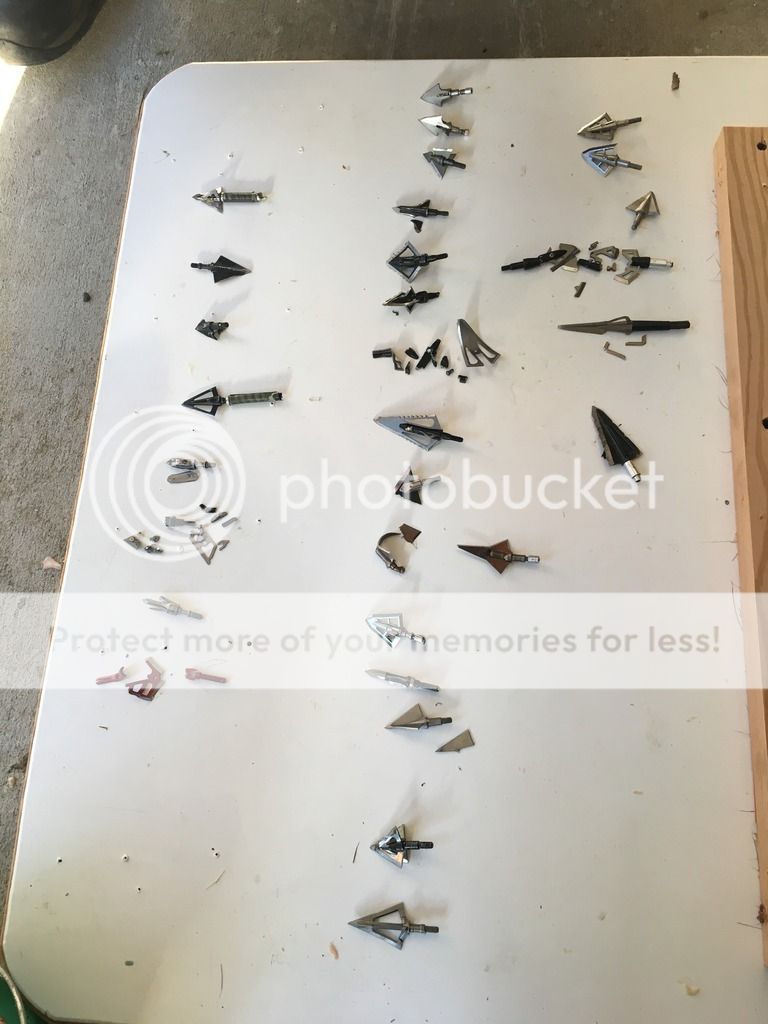 broadhead test finally done | Page 2 | Archery Talk Forum