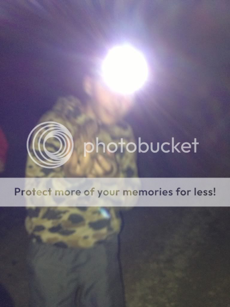 Shining for chameleons with tim borski - Field Herp Forum